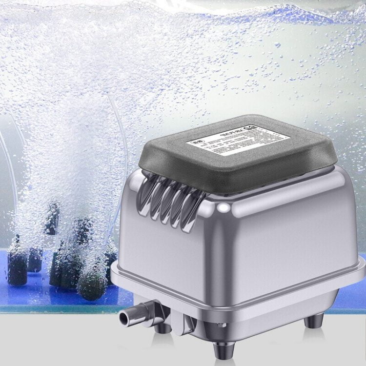 Diaphragm Pumps | Diaphragm Aerator Pumps for Biofloc Aquaculture ...